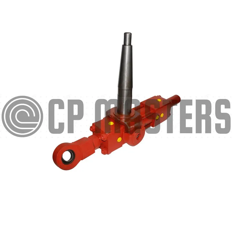 Slewing Cylinder - Schwing - 10094569 - CP MASTERS